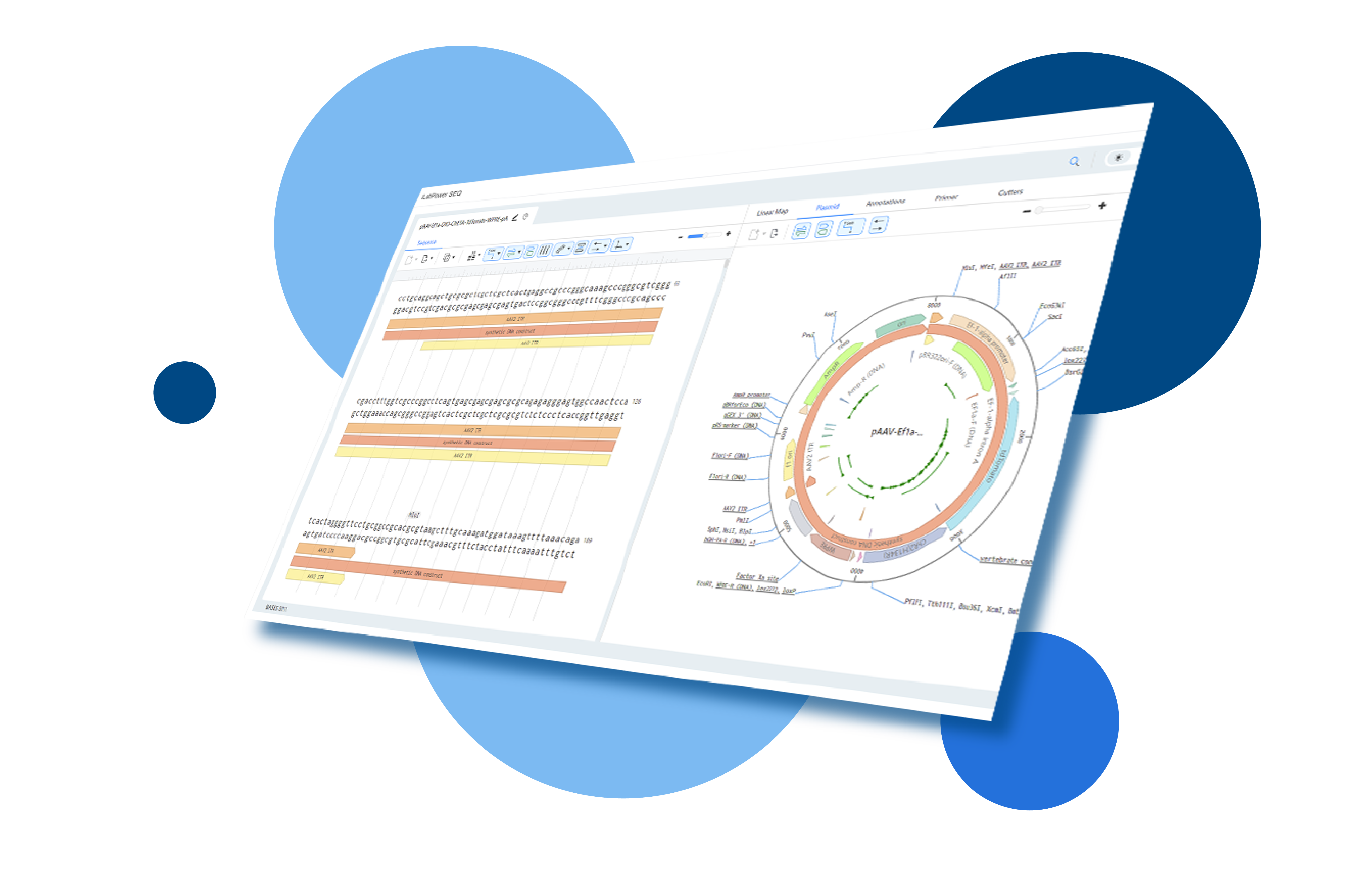 Molecular Cloning Software | Navigating Legal and Regulatory Frameworks ...